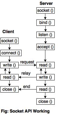 Secure Socket Layer (SSL)